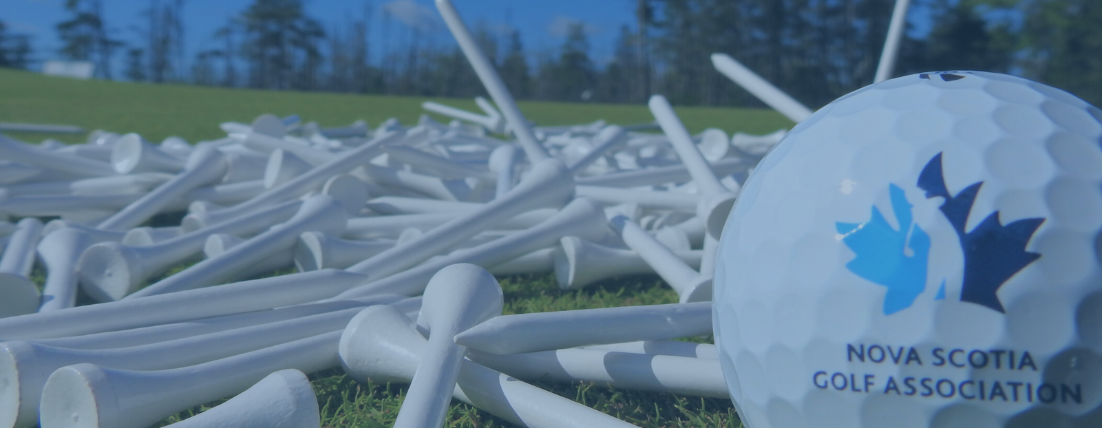 About Us - Nova Scotia Golf Association